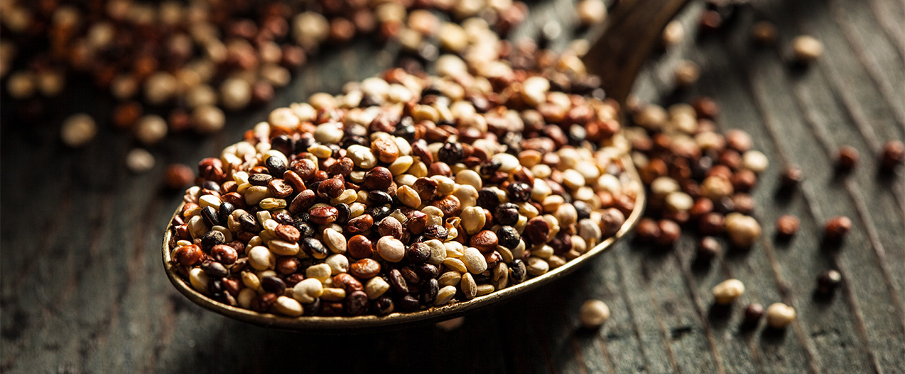 Quinoa | Unsere Bayerischen Bauern Quinoa | Unsere Bayerischen Bauern